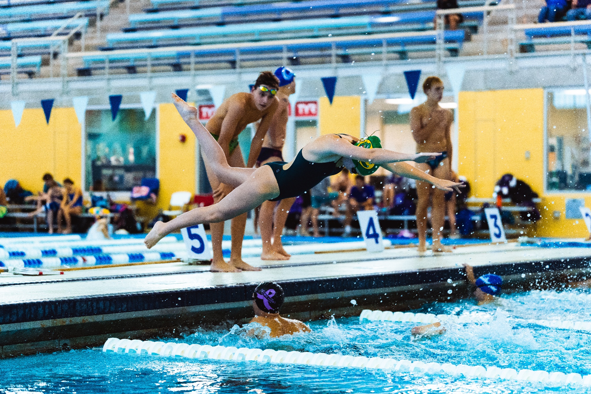 Virginia Gators Home