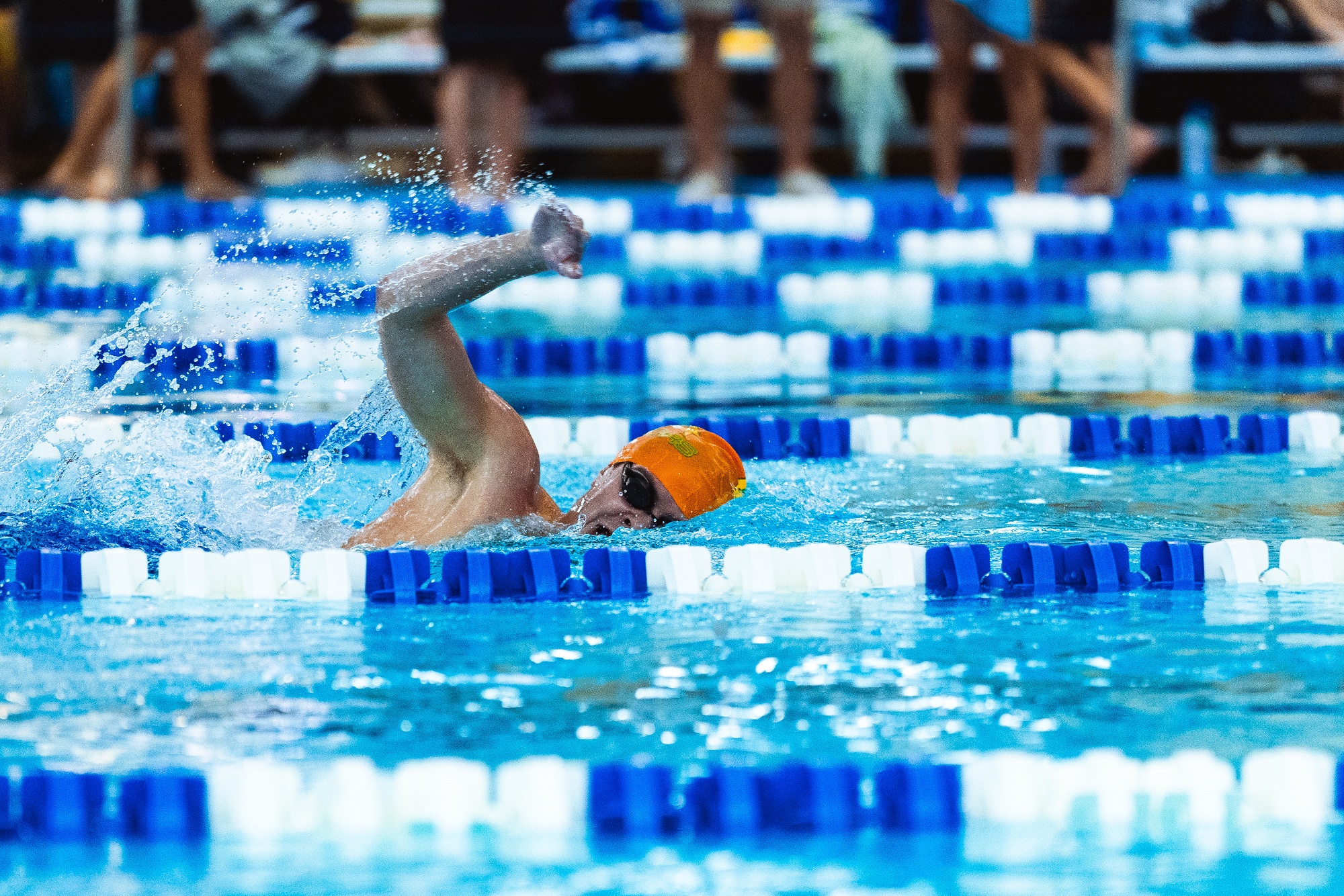 Virginia Gators Home